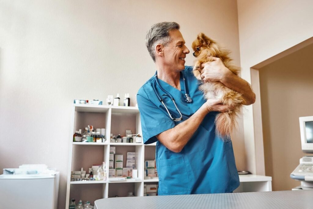 Compounding for Cats and Dogs: Custom Medication Solutions - US Insider