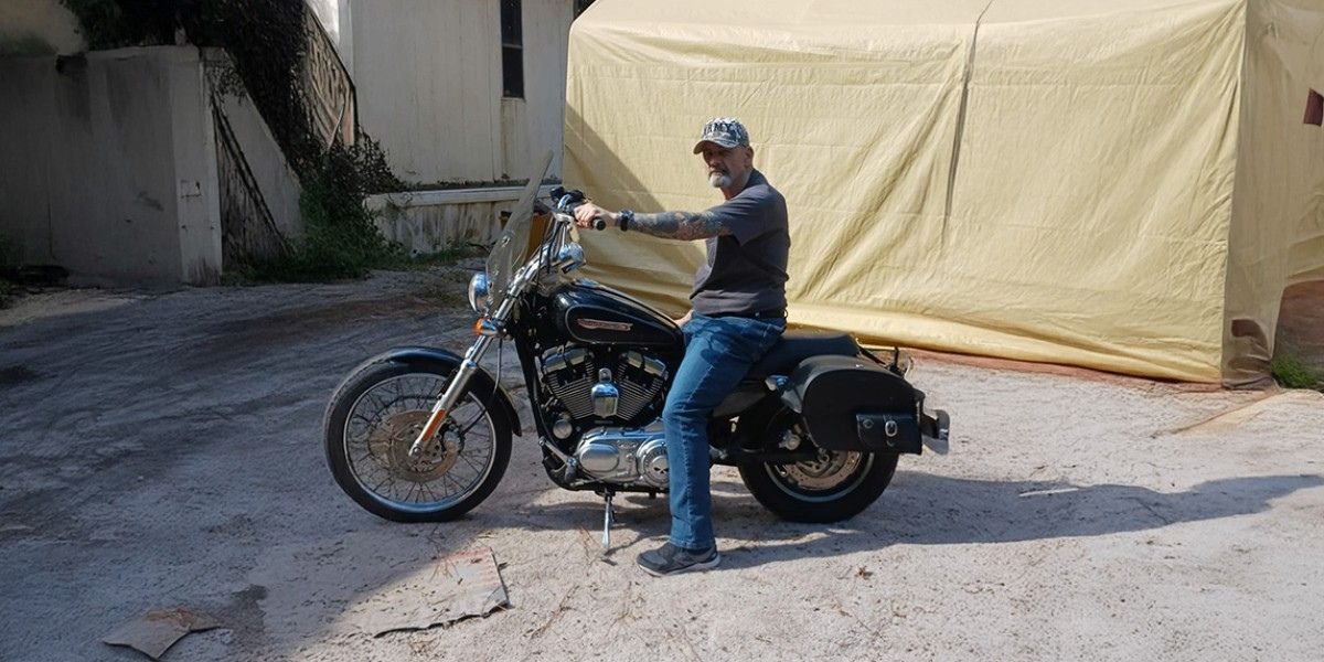 Storm Wolf by Mike Cramer: Wolves of War – The Genetic Experiments That ...